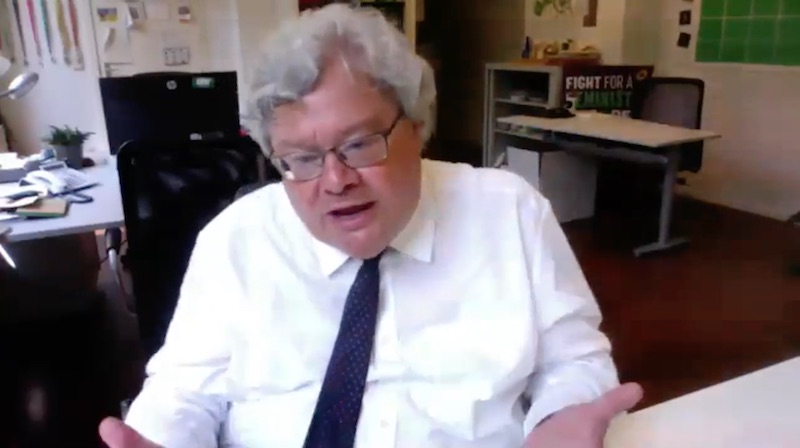 European Green Wave - Webinar With Reinhard Butikofer - The Green Institute